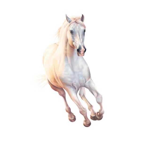 Kendyll Carle Creations – Fine Artist